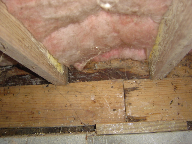 Replacing a section of Rim Board