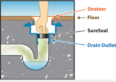 Sewer gas / shower drain